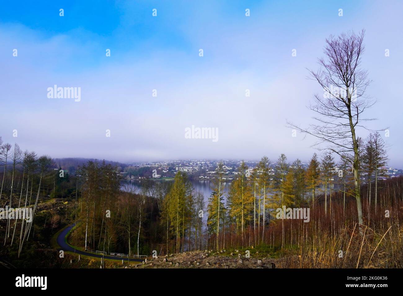 A scenic view of a hiking trail in an autumn forest in Sauerland ...