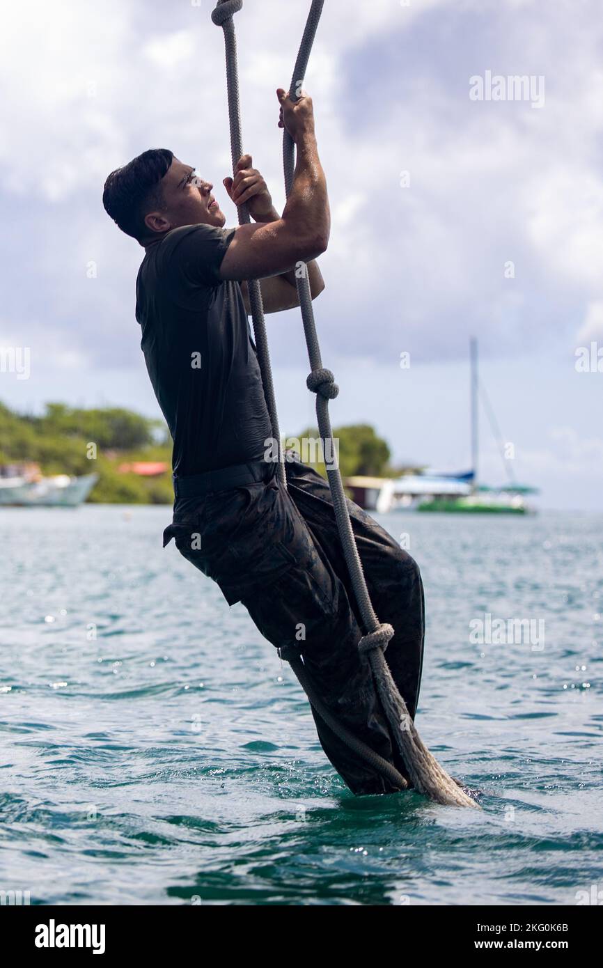 A U.S. Marine with 2d Reconnaissance Battalion, 2d Marine Division ...