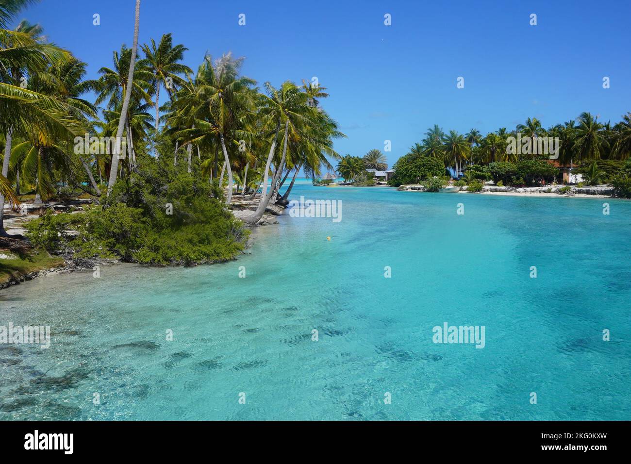 Idyllic Island Lagoon View on Anaa Atoll, French Polynesia Stock Photo ...