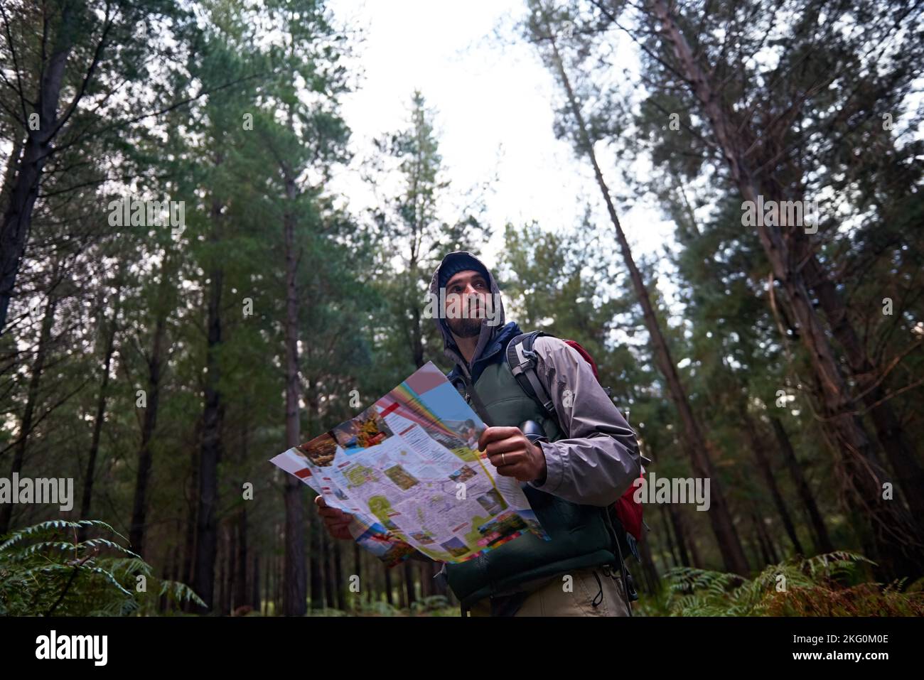 Get out there and explore. a man in a pine forest with a map, figuring ...