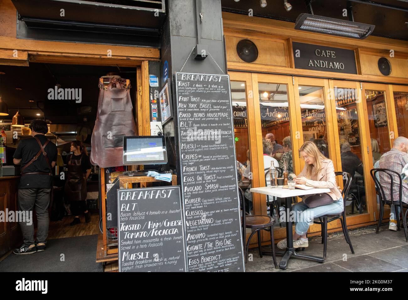 Melbourne Victoria, young blonde woman sitting alone book reading in ...