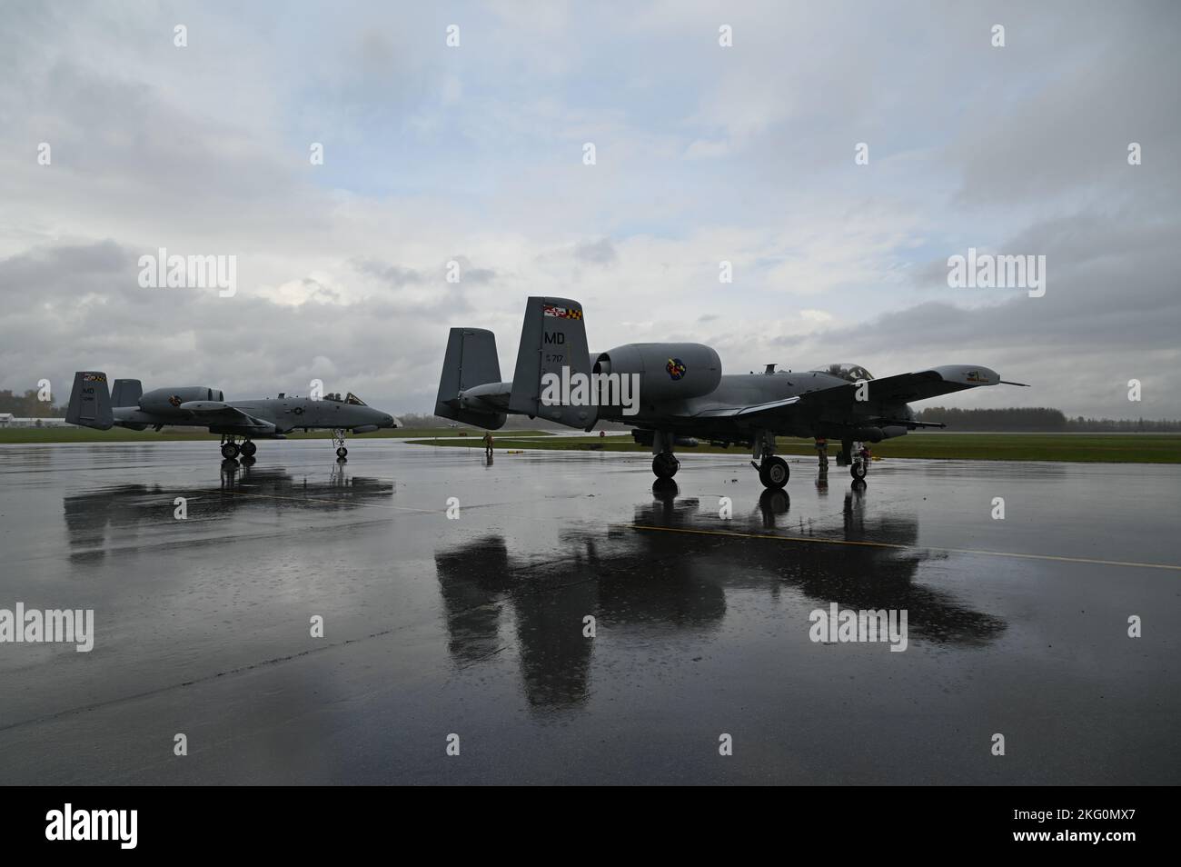 174atkw ace nyang hi-res stock photography and images - Alamy