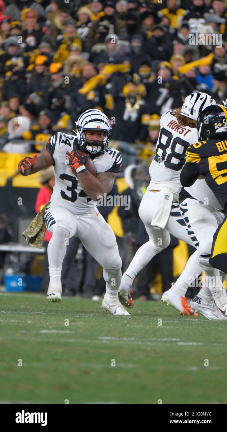 Pittsburgh, PA, USA. 20th Nov, 2022. Samaje Perine (34) during the ...