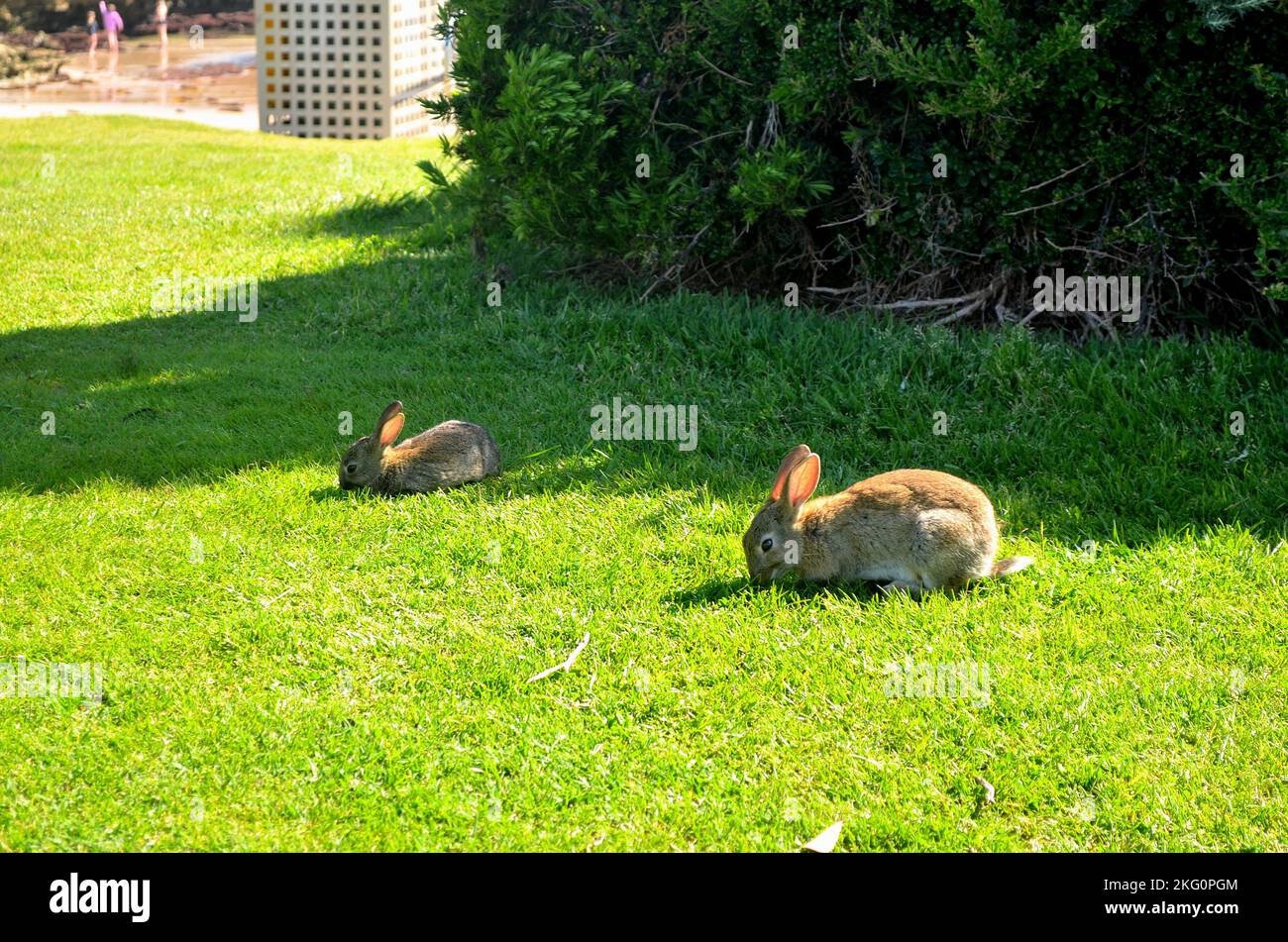 A sign at Loch Ard Gorge on the Great Ocean Road in Victoria Australia ...