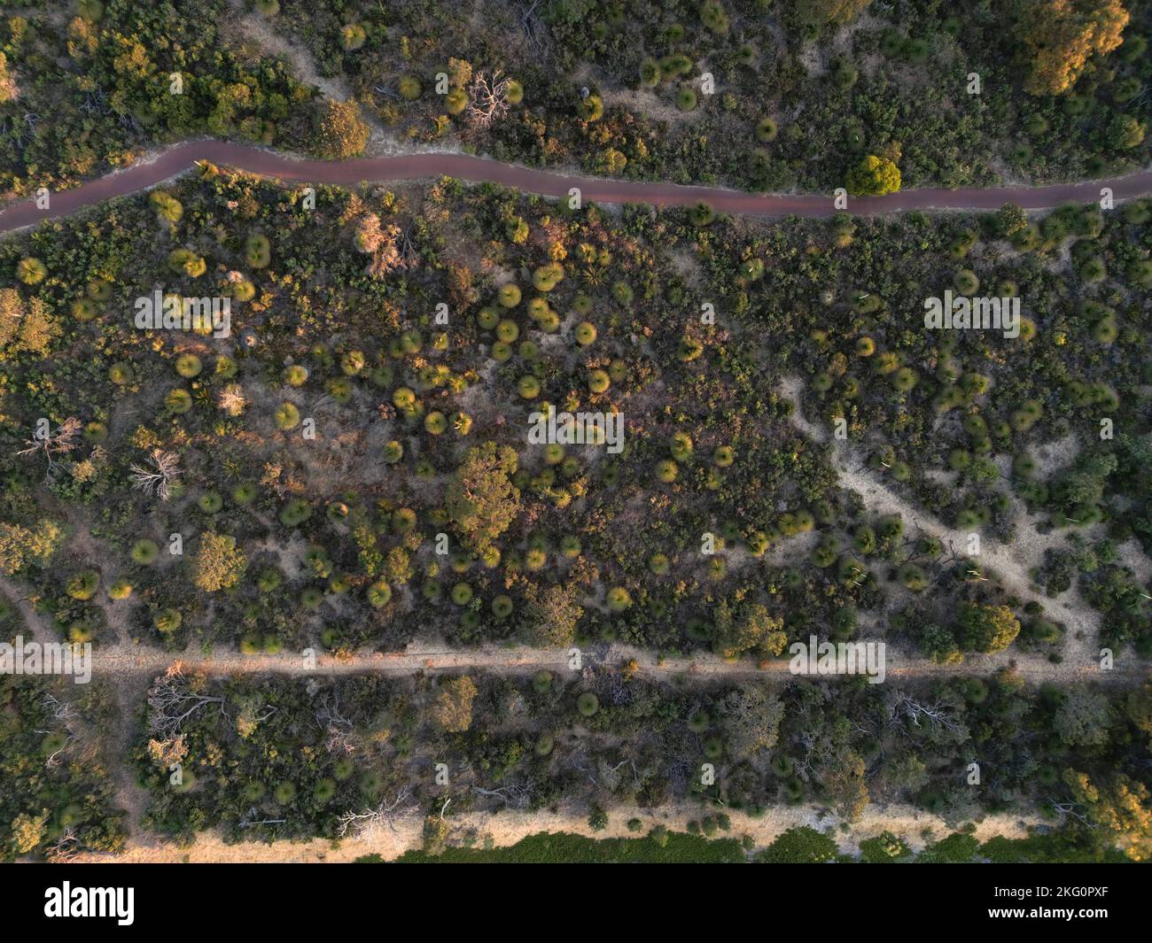 Top Down Aerial Australian Bush Stock Photo - Alamy