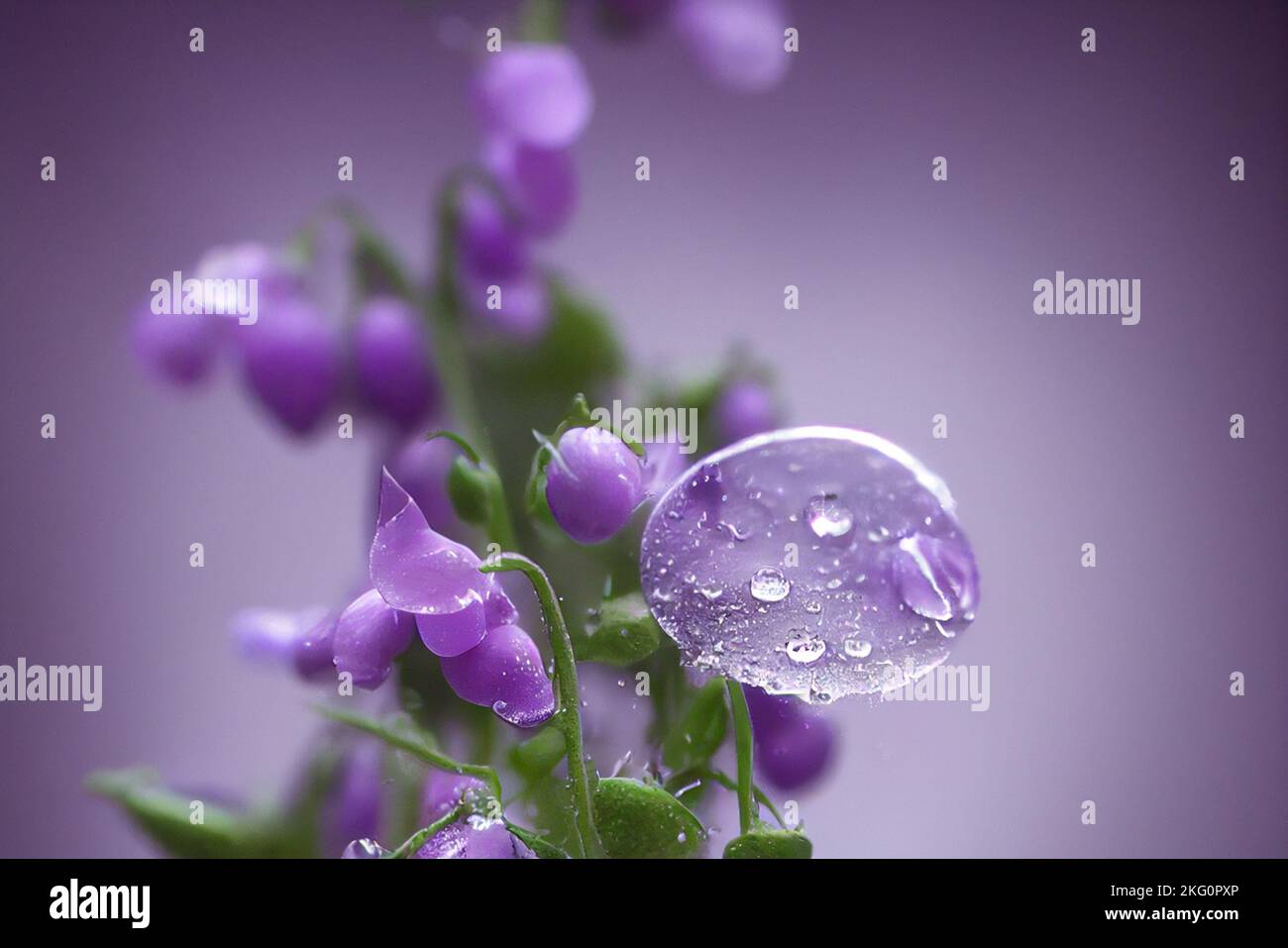 Raindrops Falling On Flowers Wallpaper