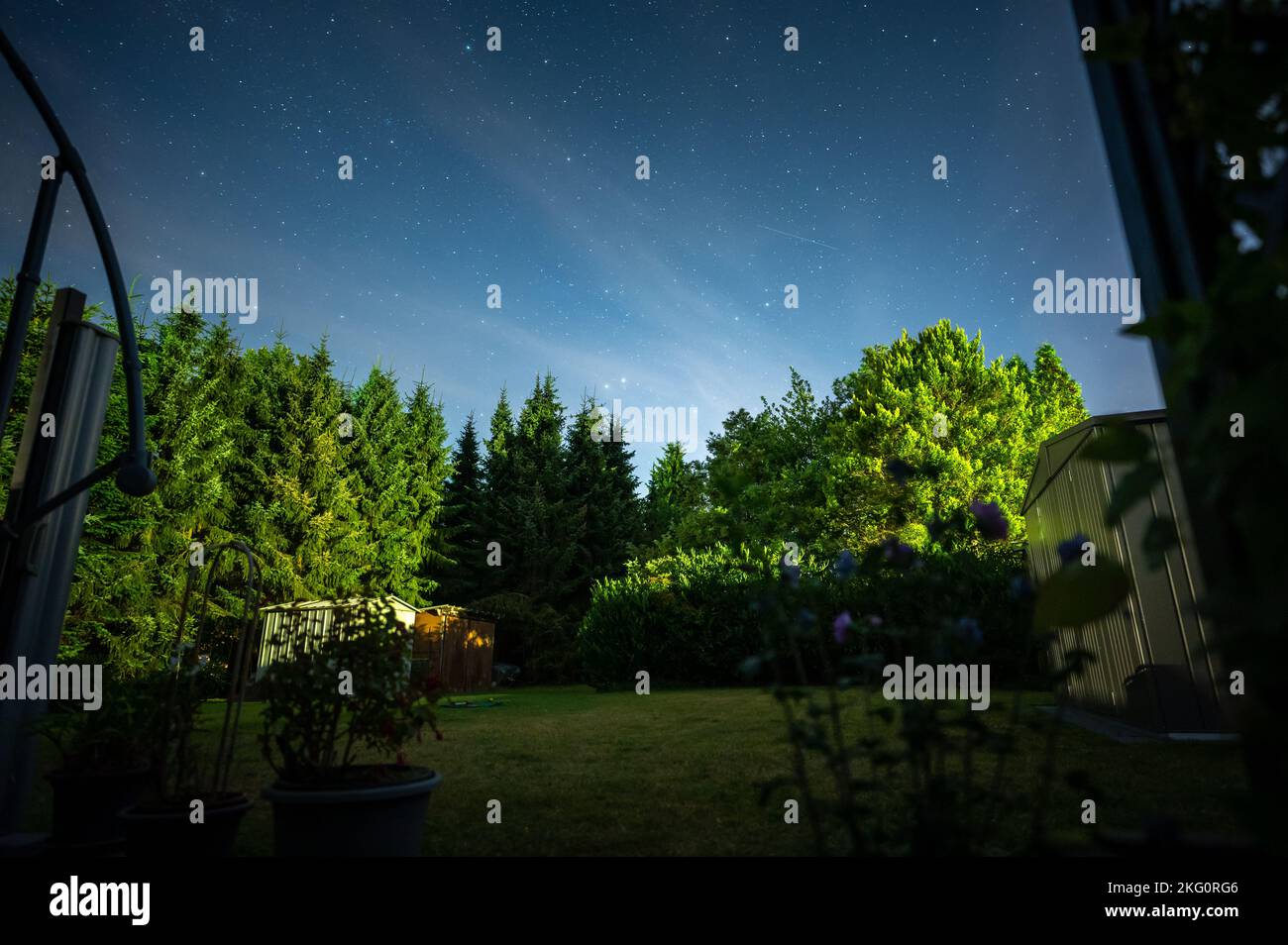 A natural view of a green lawn and trees under a starry night Stock ...