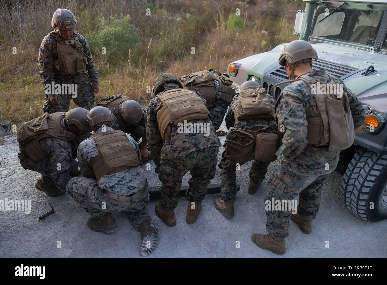 U.S. Marines with 2nd Air-Naval Gunfire Liaison Company, II Marine ...