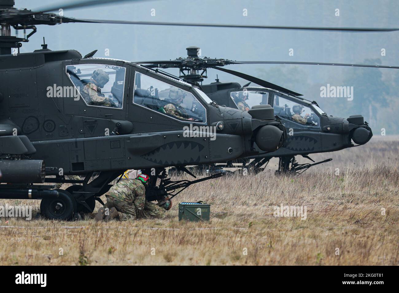 Soldiers assigned to 1-229 Attack Battalion, 16th Combat Aviation ...
