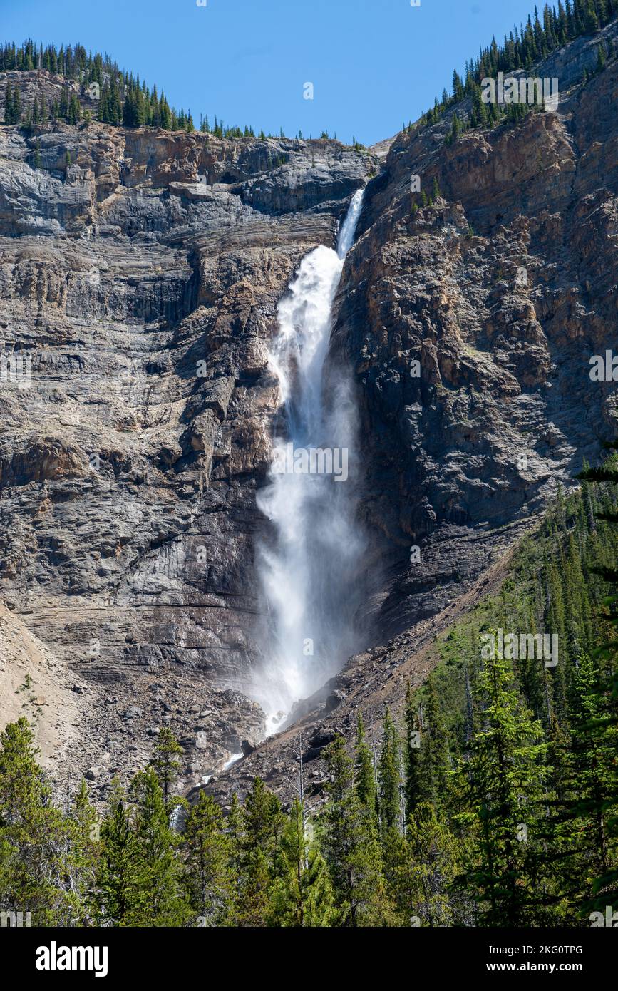 A vertical of a waterfall flowing down the rocks in Yoho national park ...