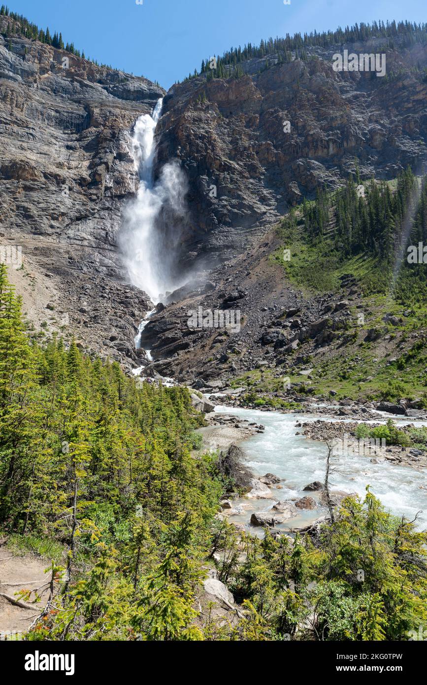 A vertical of a waterfall flowing down the rocks in Yoho national park ...