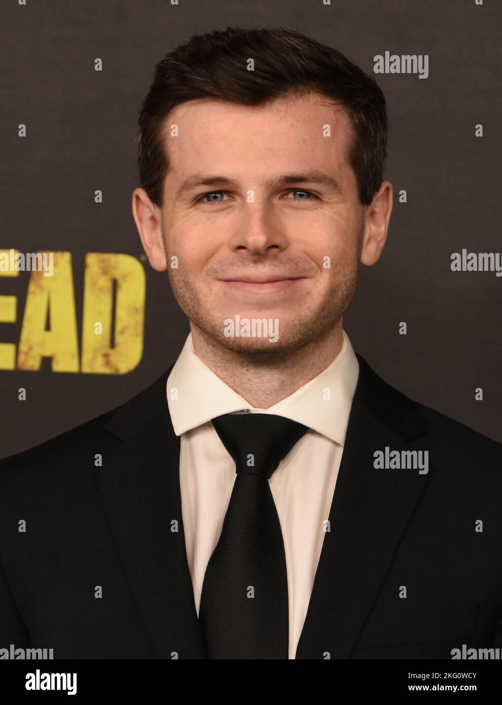 Los Angeles, California, USA 20th November 2022 Actor Chandler Riggs ...