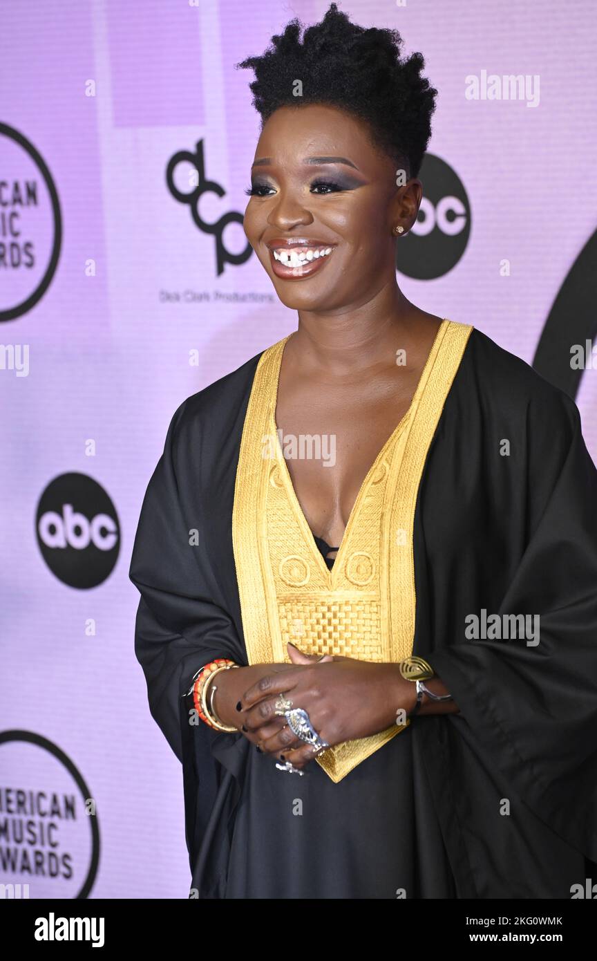 Los Angeles, USA. 20th Nov, 2022. Folake Olowofoyeku at the 2022 ...