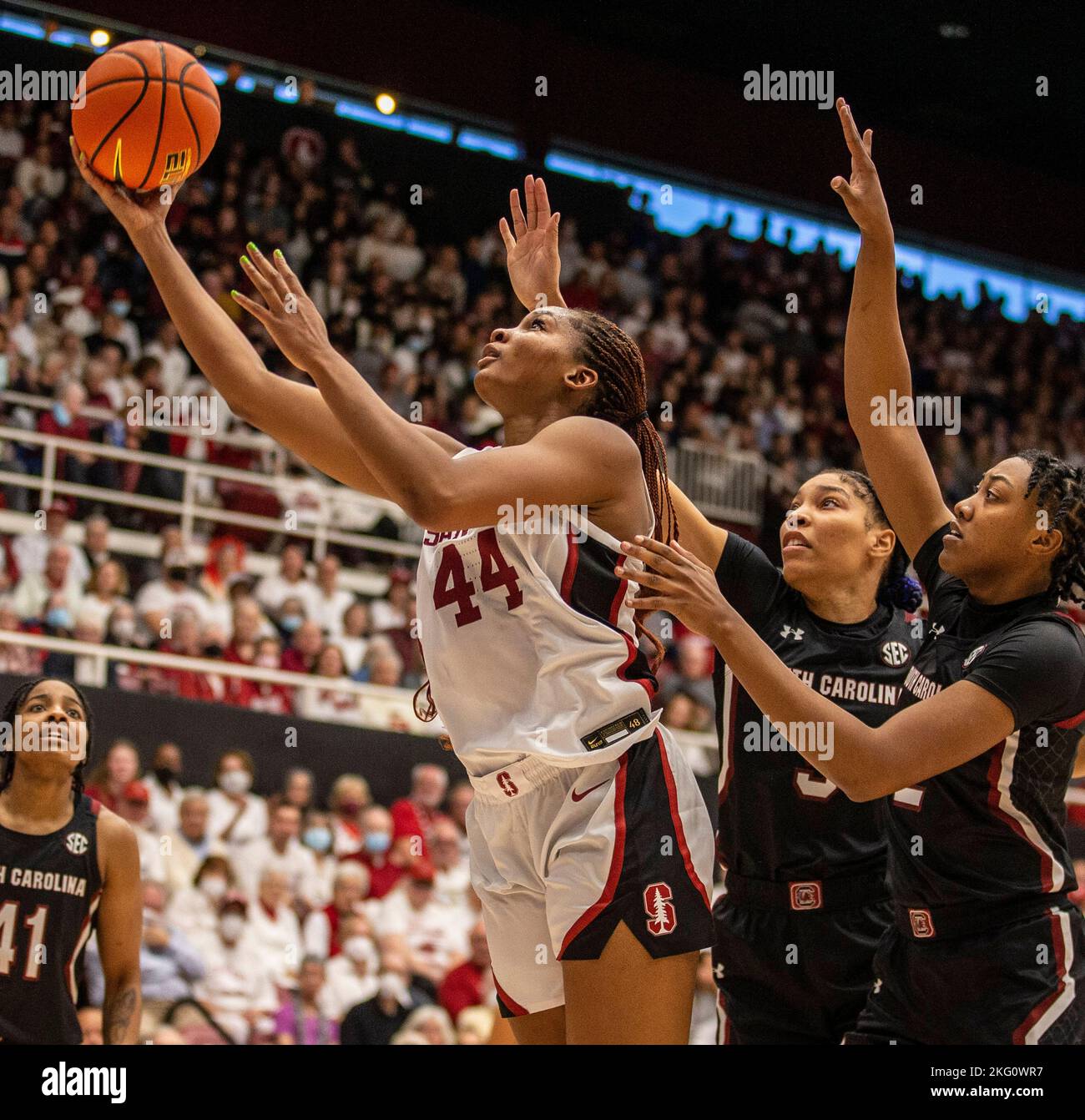 Maples Pavilion Stanford, CA. 20th Nov, 2022. CA, U.S.A. Stanford ...