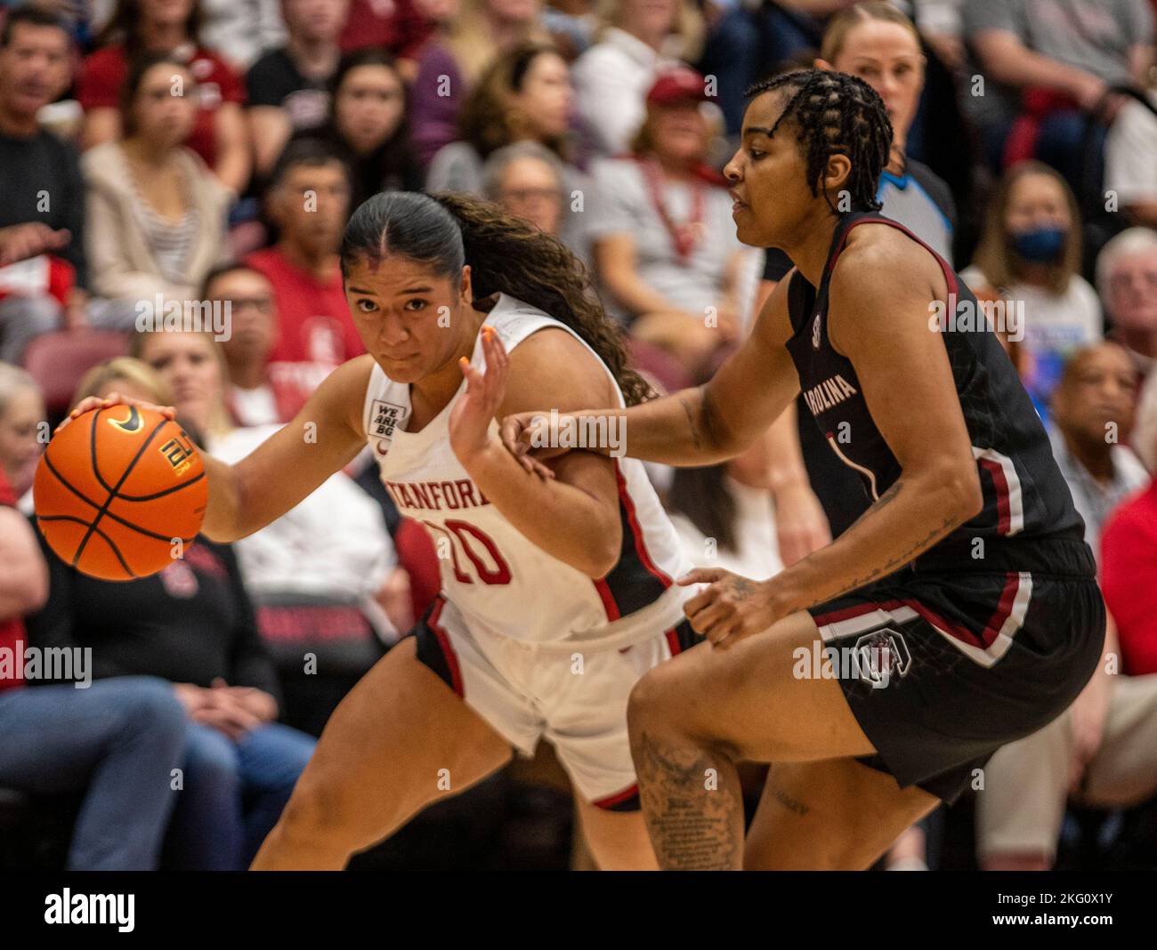 2022 0193 jpg hi-res stock photography and images - Alamy