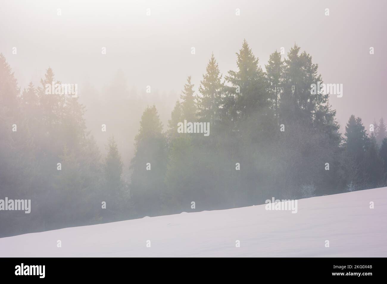 winter scenery with forest in fog. stunning nature background at ...