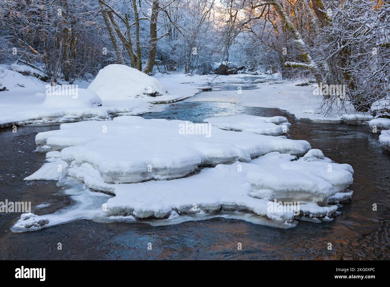 Ice floes and snow in the river that flows through the winter woods ...