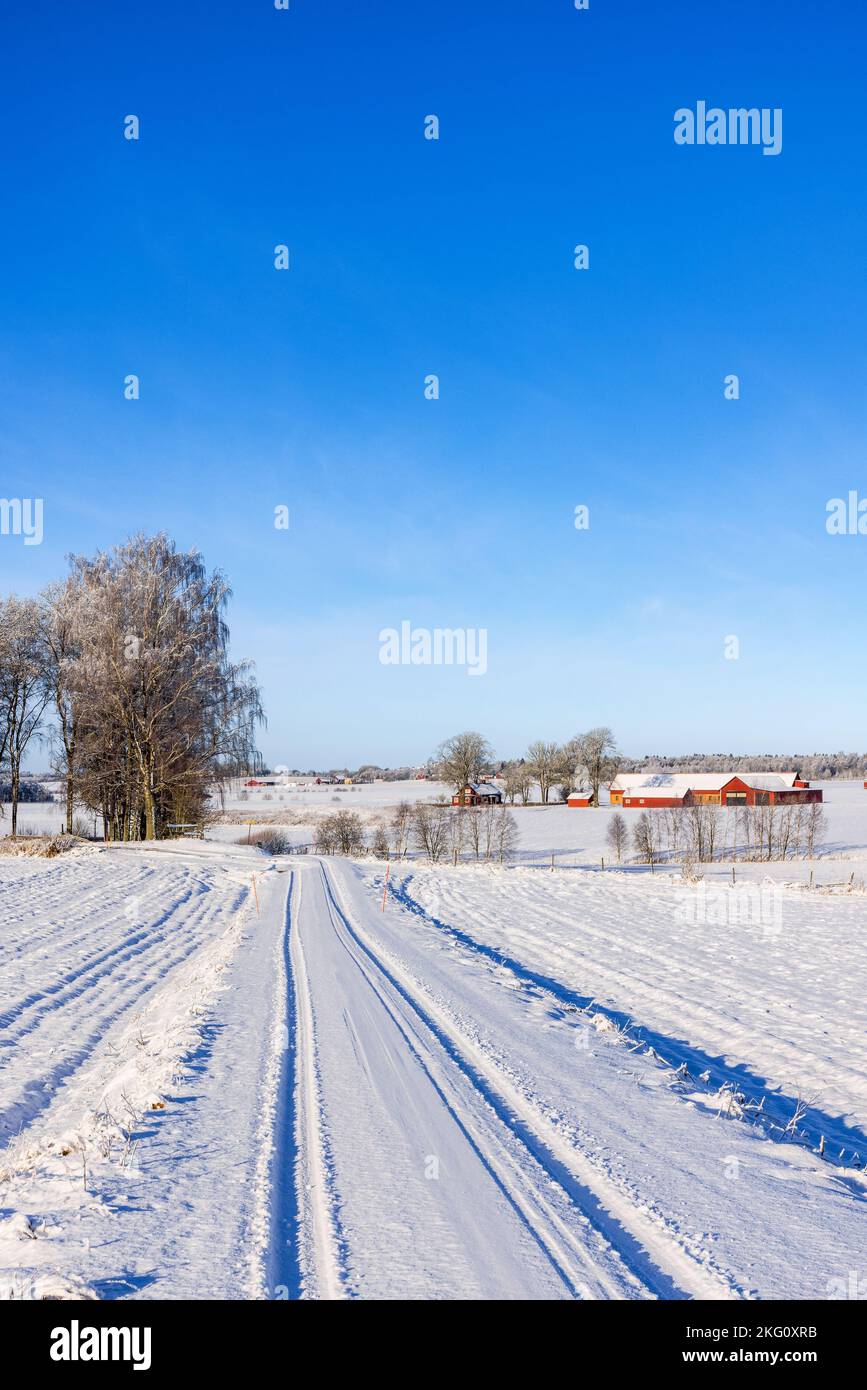 Car tracks in the snow on a dirt road in a beautiful winter landscape ...
