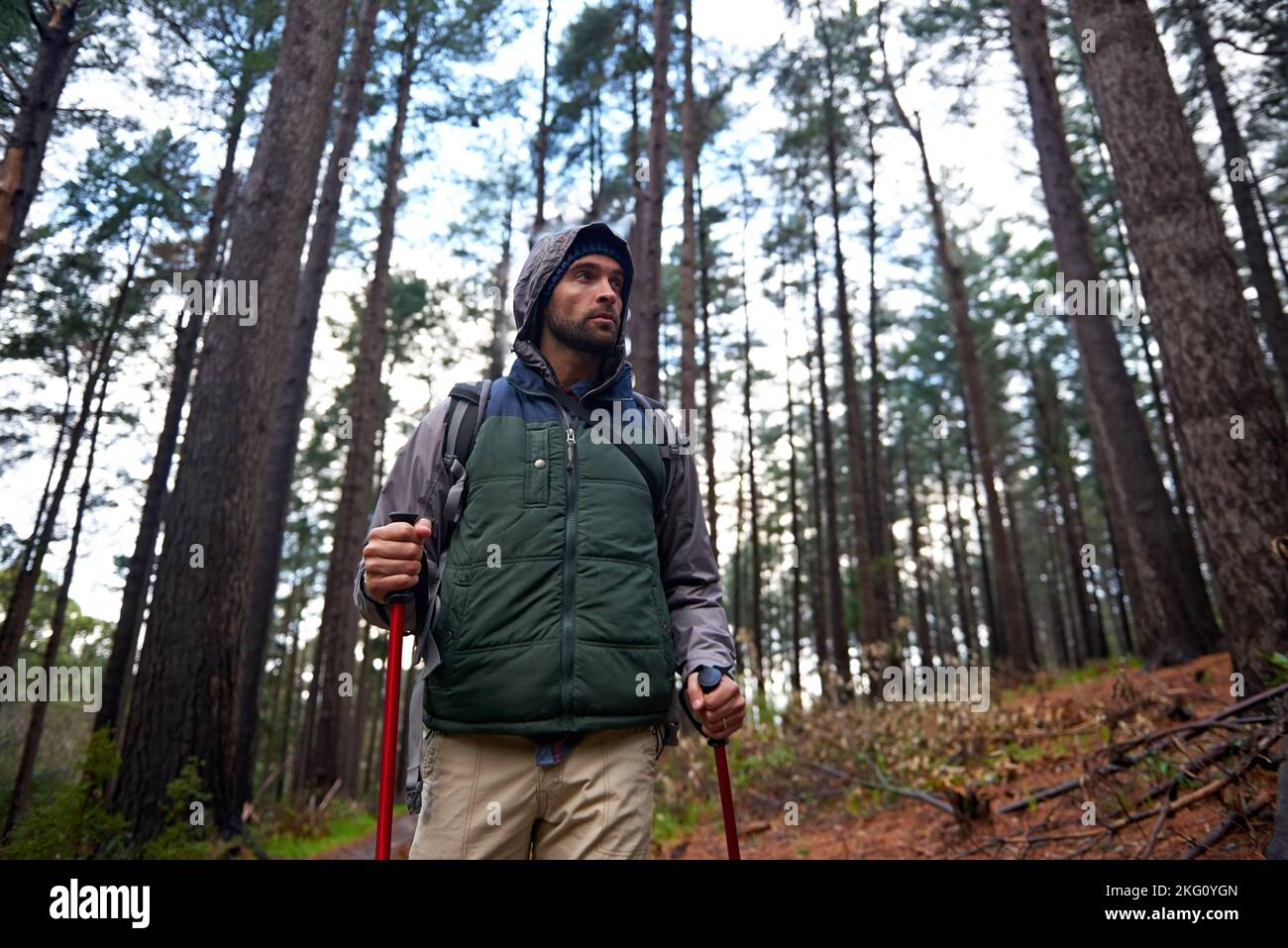 Powering down the trail. a handsome man hiking in a pine forest using ...