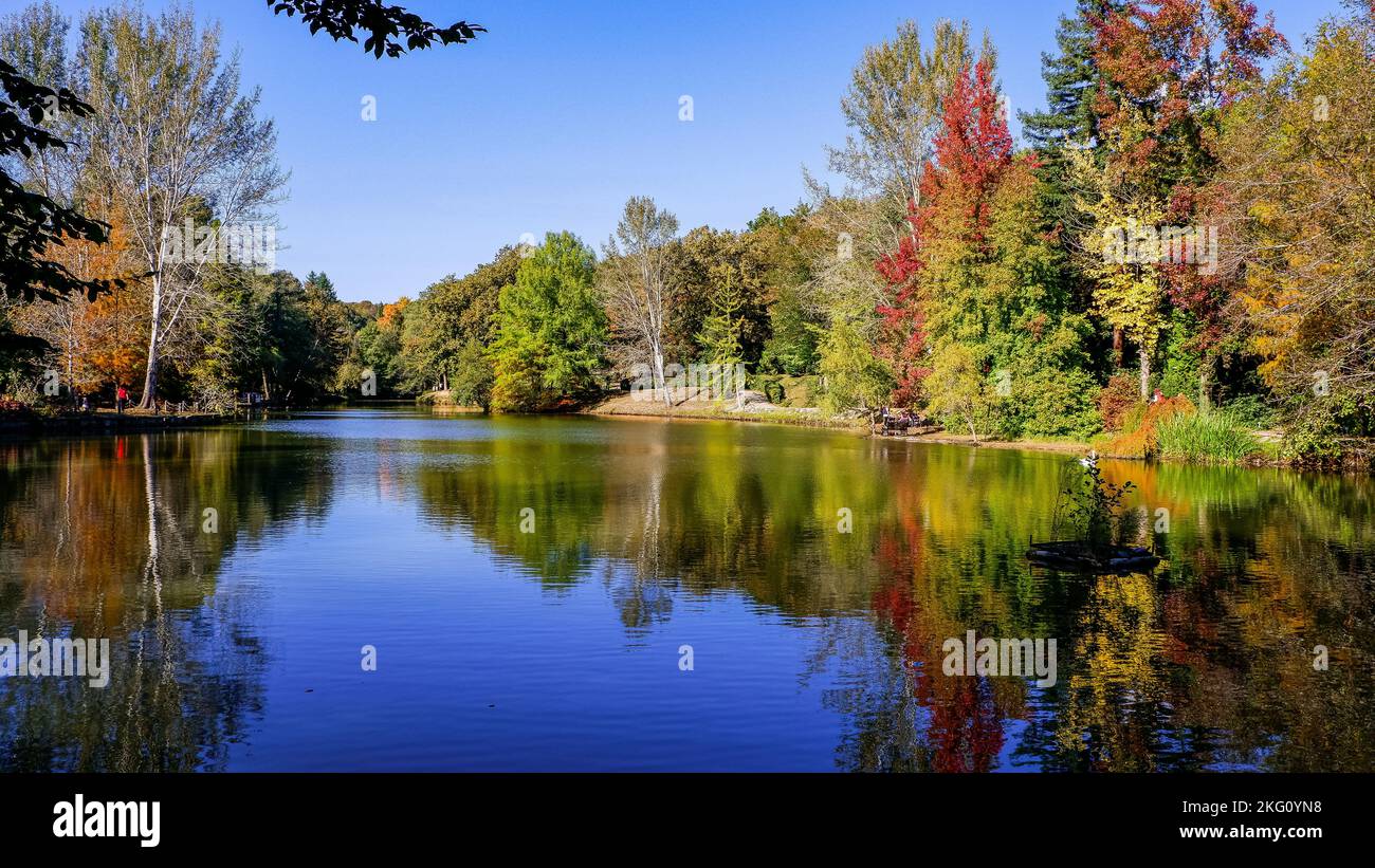 Autumn Landscape, Colorful leafy trees. Ataturk Arboretum, Istanbul ...