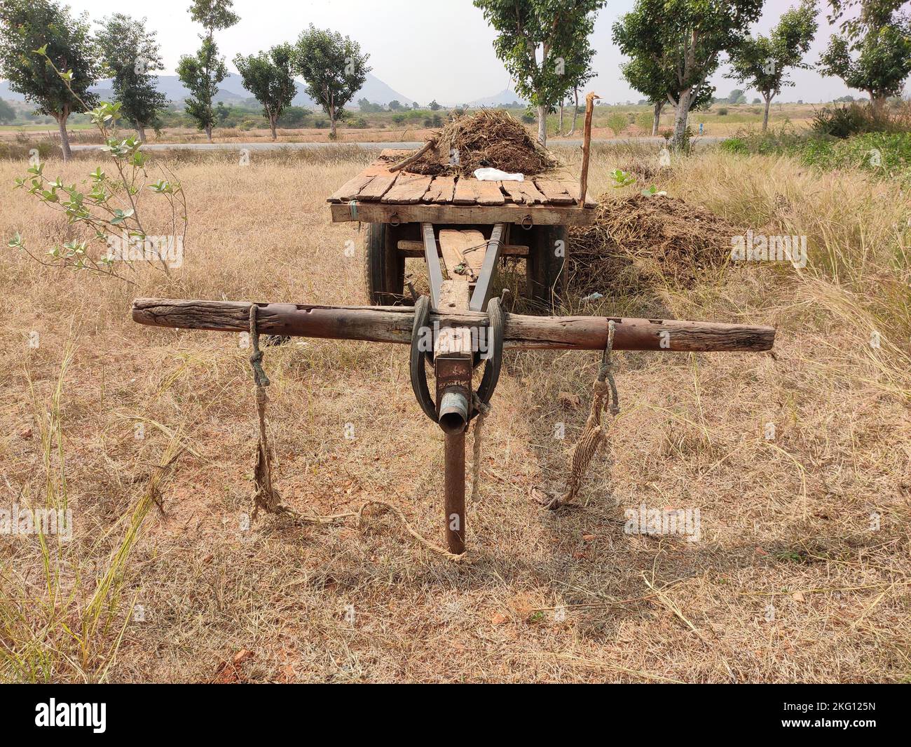 Indian bullock cart on village hi-res stock photography and images - Alamy