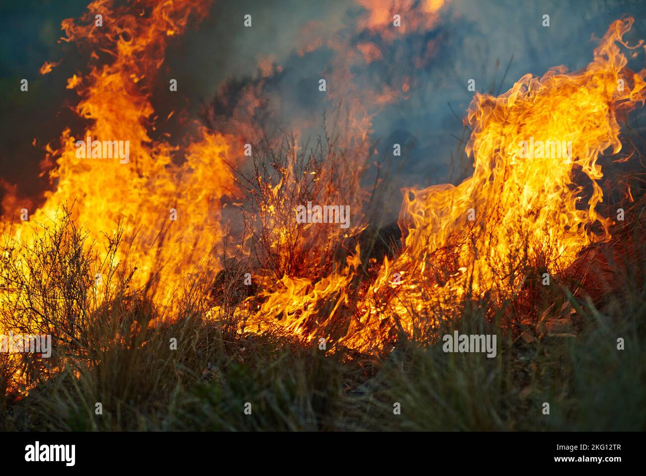 Slash and burning hi-res stock photography and images - Alamy