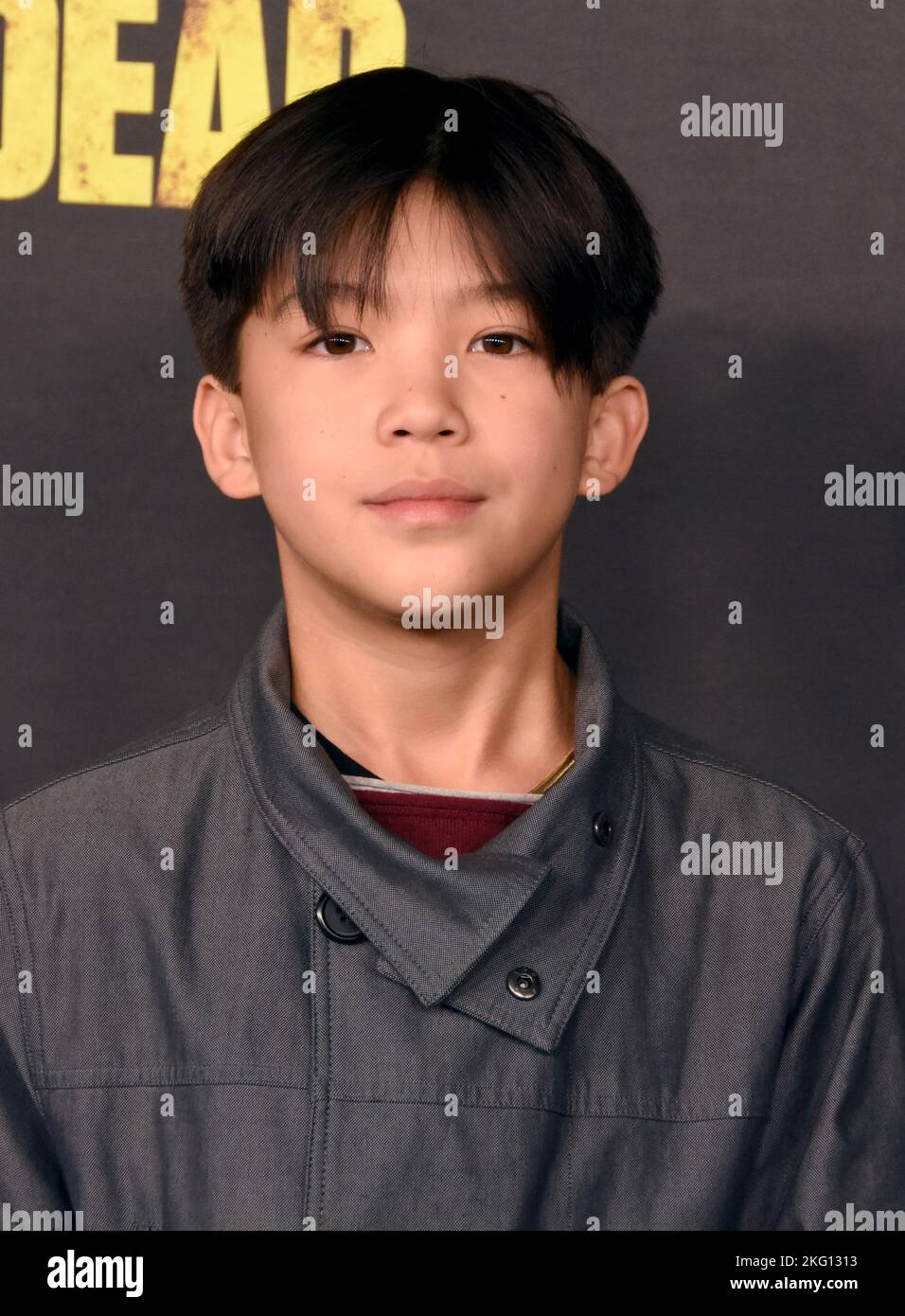 Los Angeles, California, USA. 20th Nov, 2022. Actor Kien Michael ...