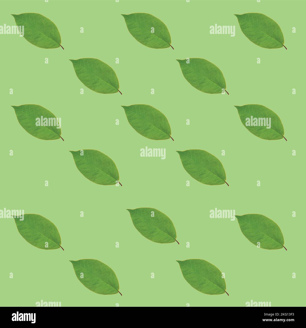 Diamond leaf pattern Stock Vector Images - Alamy