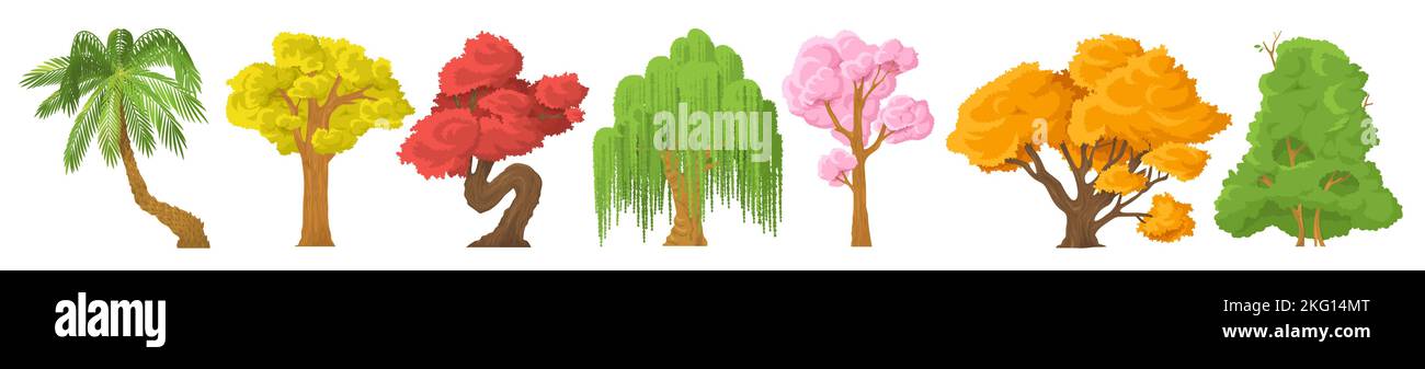 Garden, forest and park tree vector illustration. Isolated wood set ...