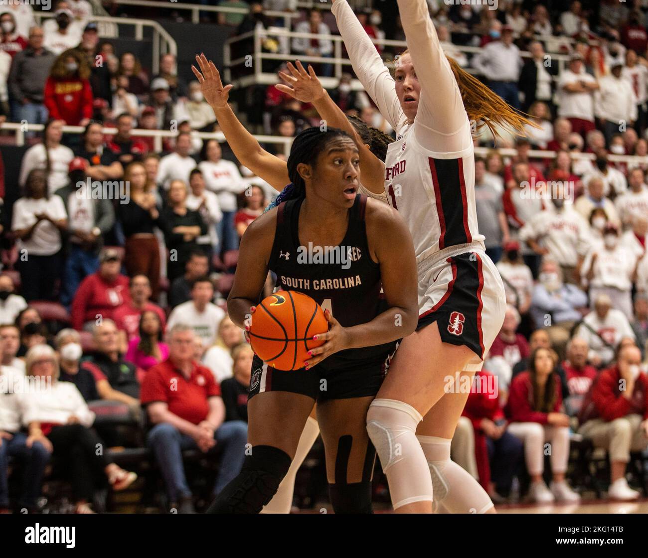 2022 0944 jpg hi-res stock photography and images - Alamy