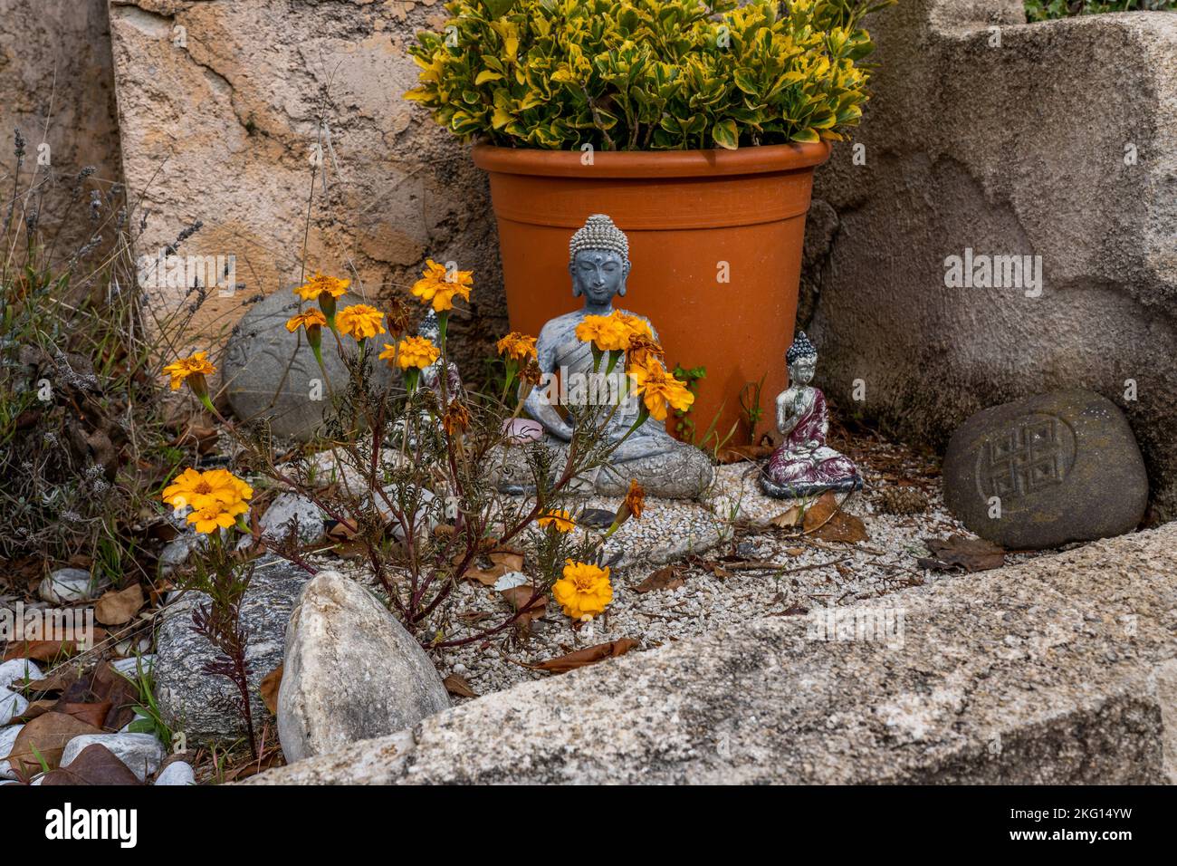 A close up of a small Buddha statue in a autumn garden. High quality ...