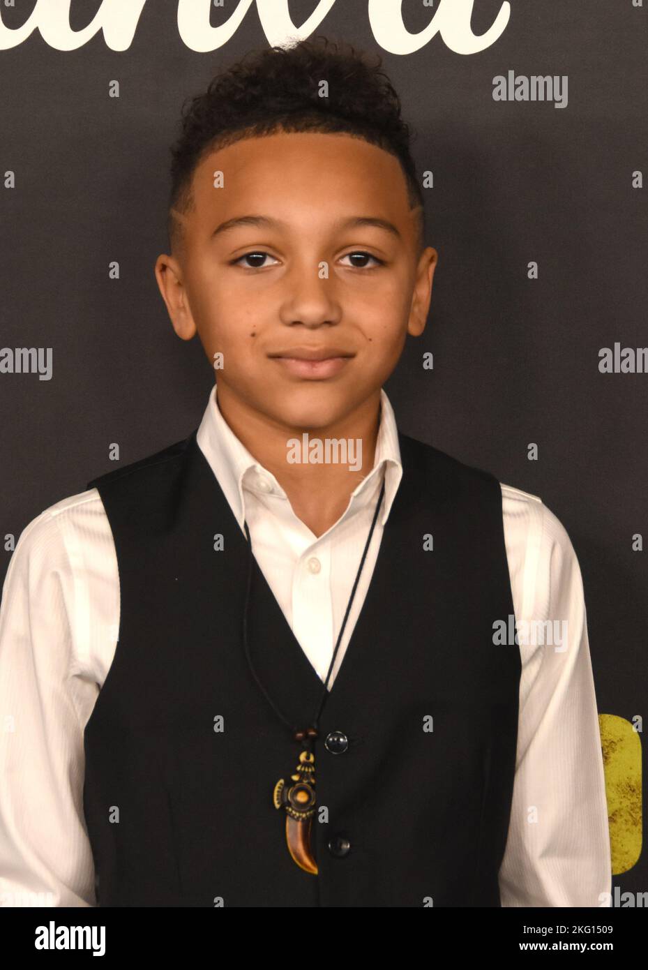 Los Angeles, California, USA. 20th Nov, 2022. Actor Antony Azor attends ...