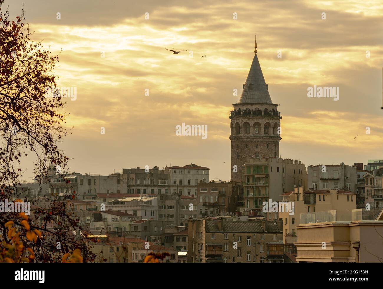 The Galata Tower during the golden hour under a cloudy sky in Istanbul ...