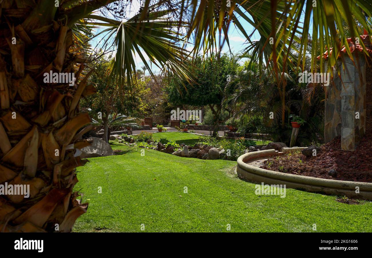 Maspalomas botanical park Stock Photo - Alamy