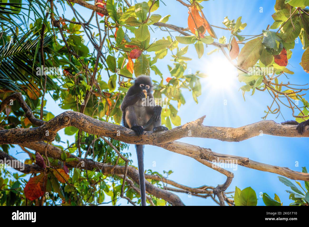 Koh Phaluai, Mu Ko Ang Thong National Park, Gulf of Thailand, Siam ...