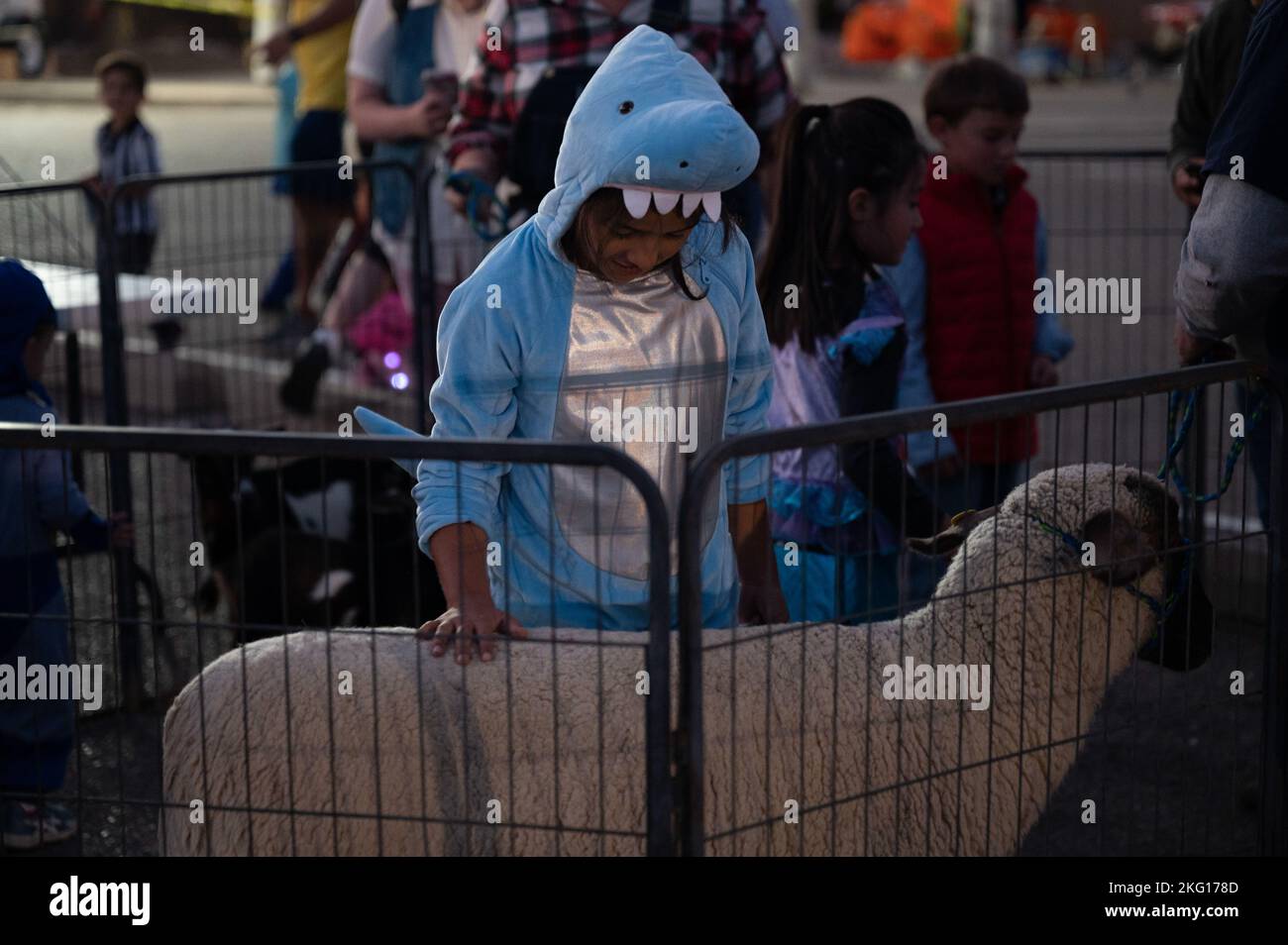 A member of Team Kirtland pets a sheep during the Bootastic event at ...