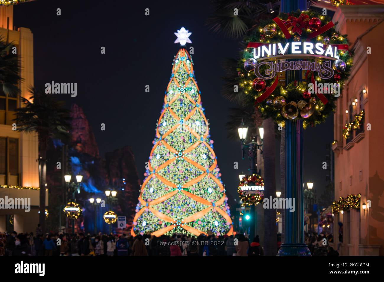 The giant Christmas Tree of the "Winter Holiday" themed activity on ...