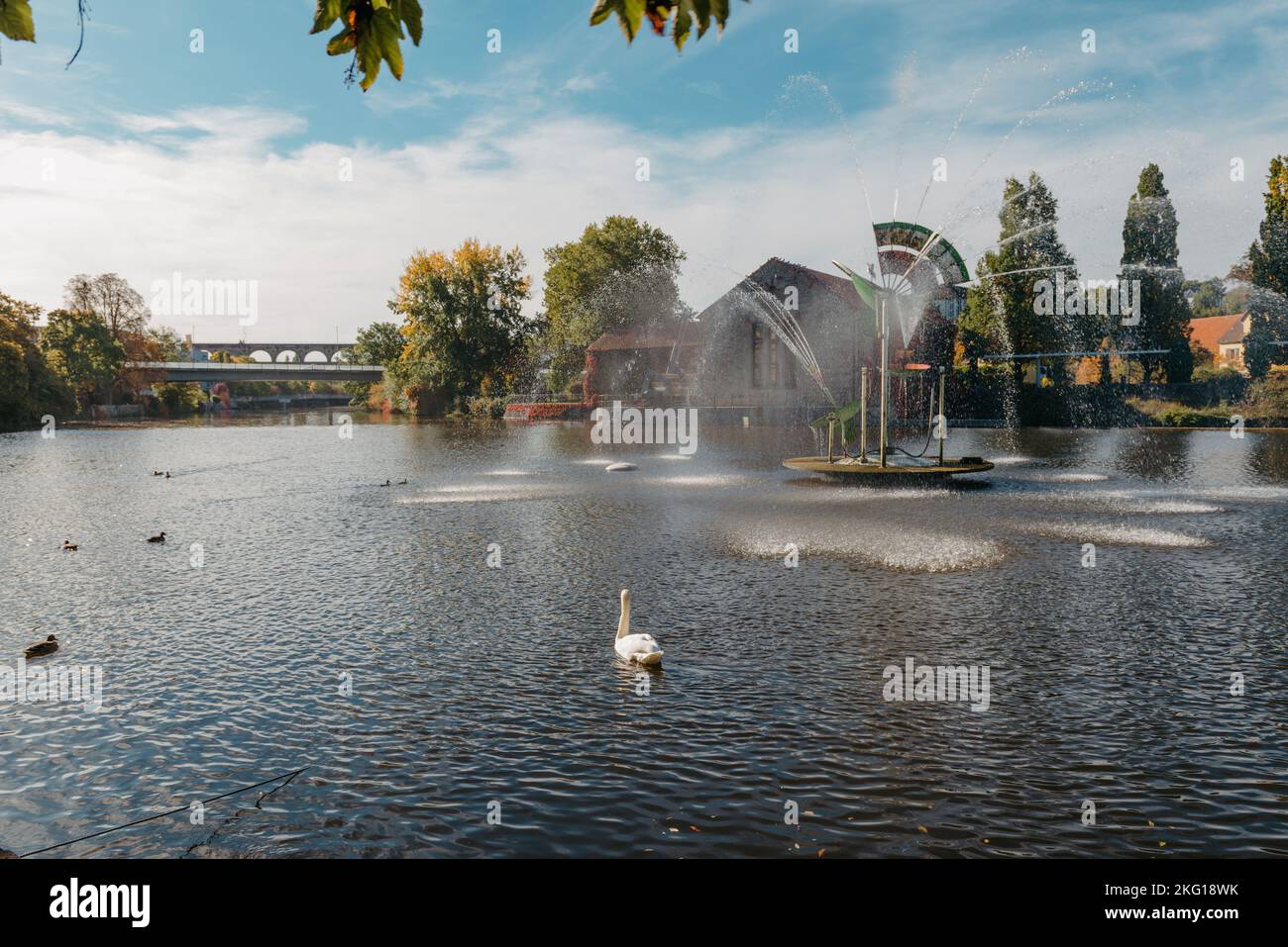 City fountain and pond with swan and ducks in Old European City ...