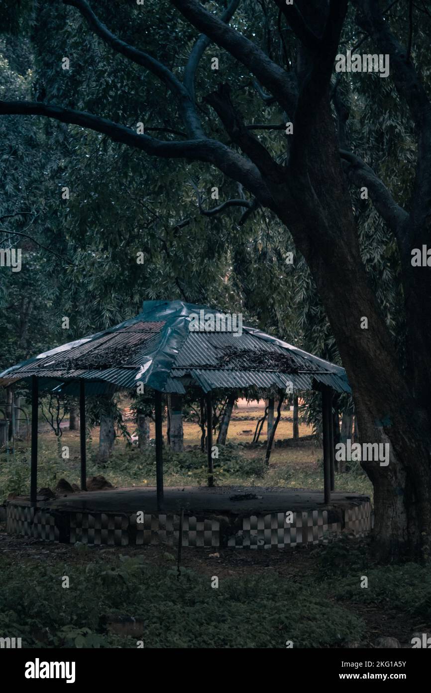 A vertical shot of an old stage with a roof in a park under the trees ...