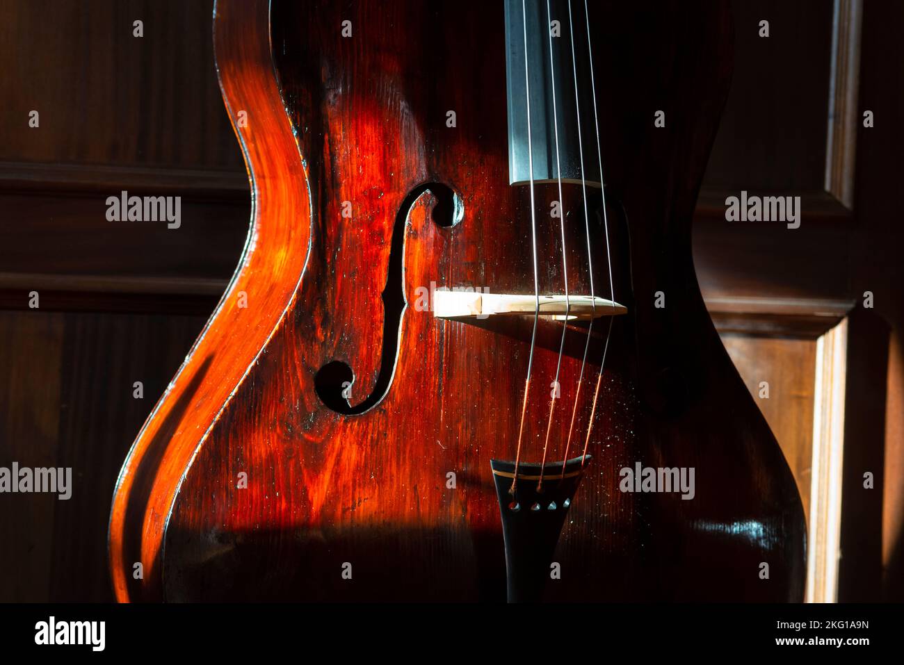 Close-up of Double Bass, Wooden Musical Instrument Stock Photo - Alamy