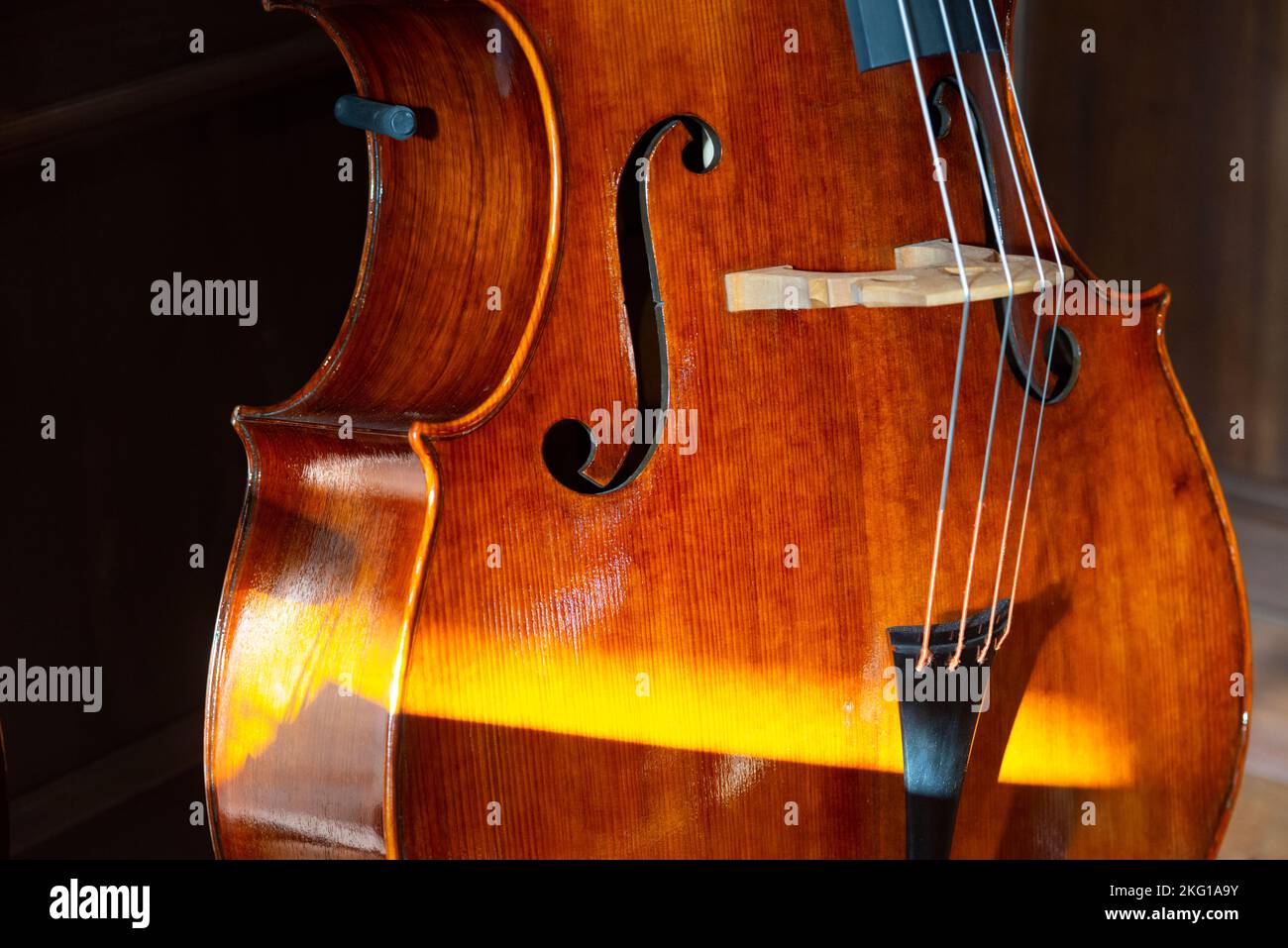 Still life with old double bass hi-res stock photography and images - Alamy
