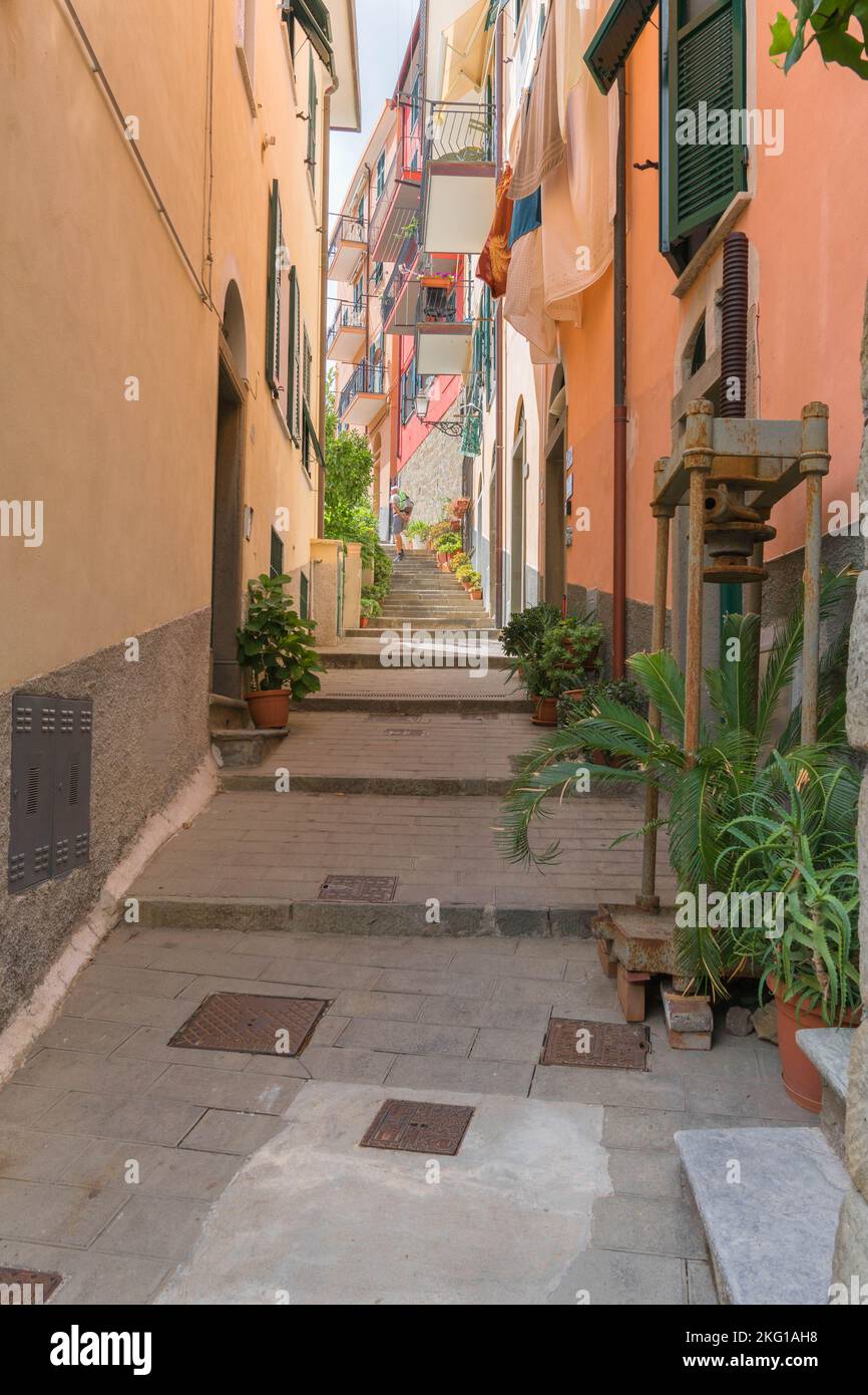 The steps of Via Pecunia lined with potted plants. Riomaggiore Cinque ...