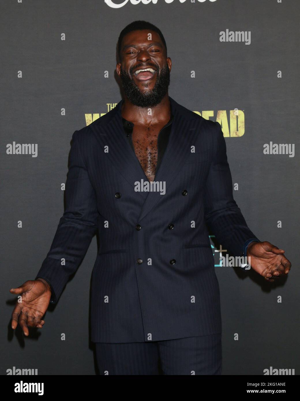 Los Angeles, CA. 20th Nov, 2022. Michael James Shaw at arrivals for The ...