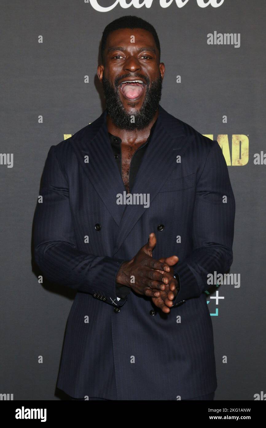 Los Angeles, CA. 20th Nov, 2022. Michael James Shaw at arrivals for The ...