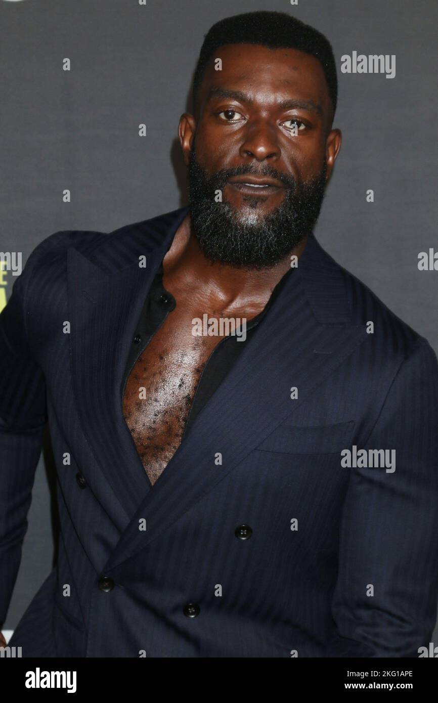 Los Angeles, CA. 20th Nov, 2022. Michael James Shaw at arrivals for The ...