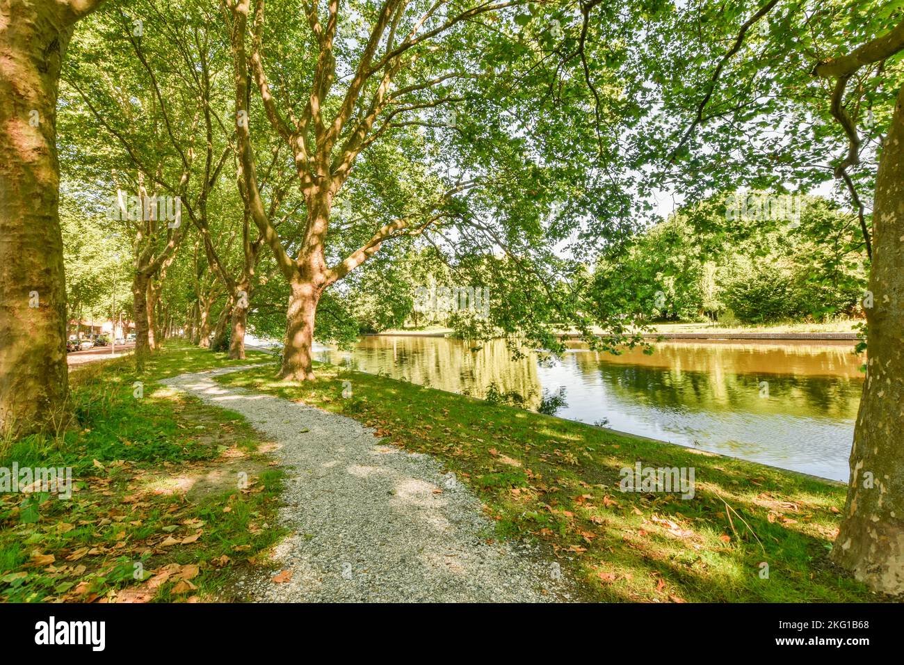 View of street near building with beauty of vegetation outside Stock ...
