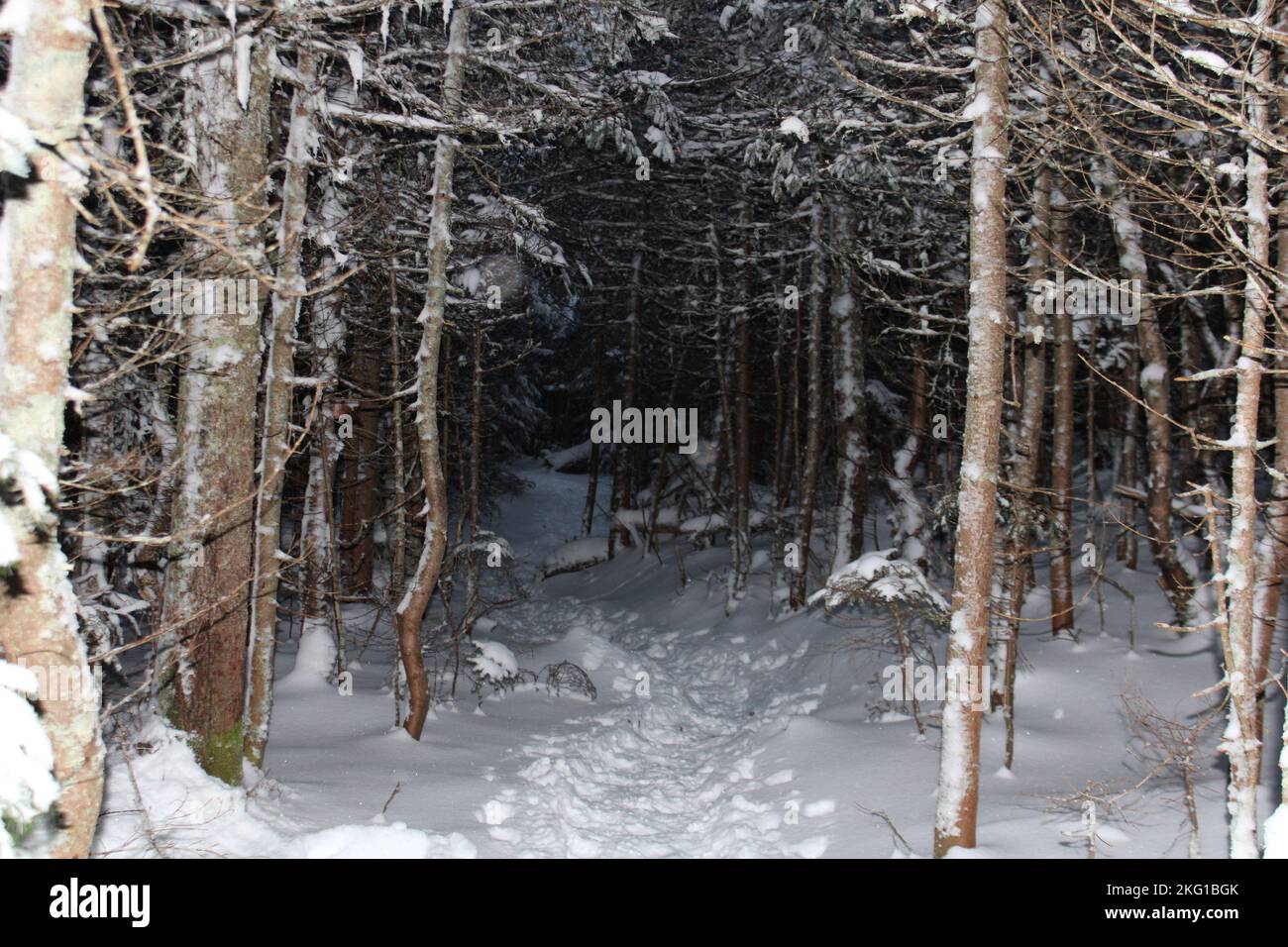 Nh liberty hi-res stock photography and images - Alamy