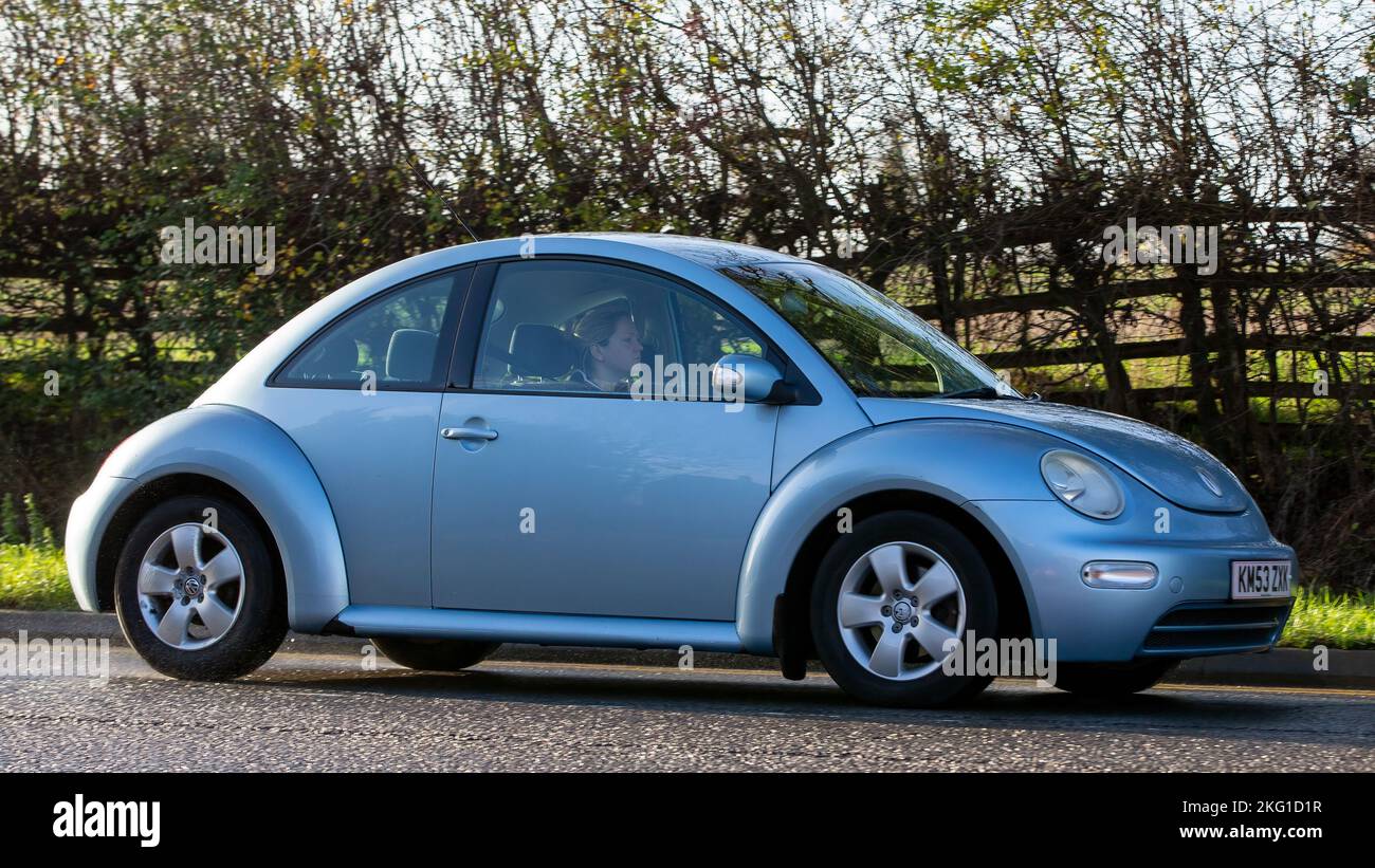 Blue beetle hi-res stock photography and images - Alamy
