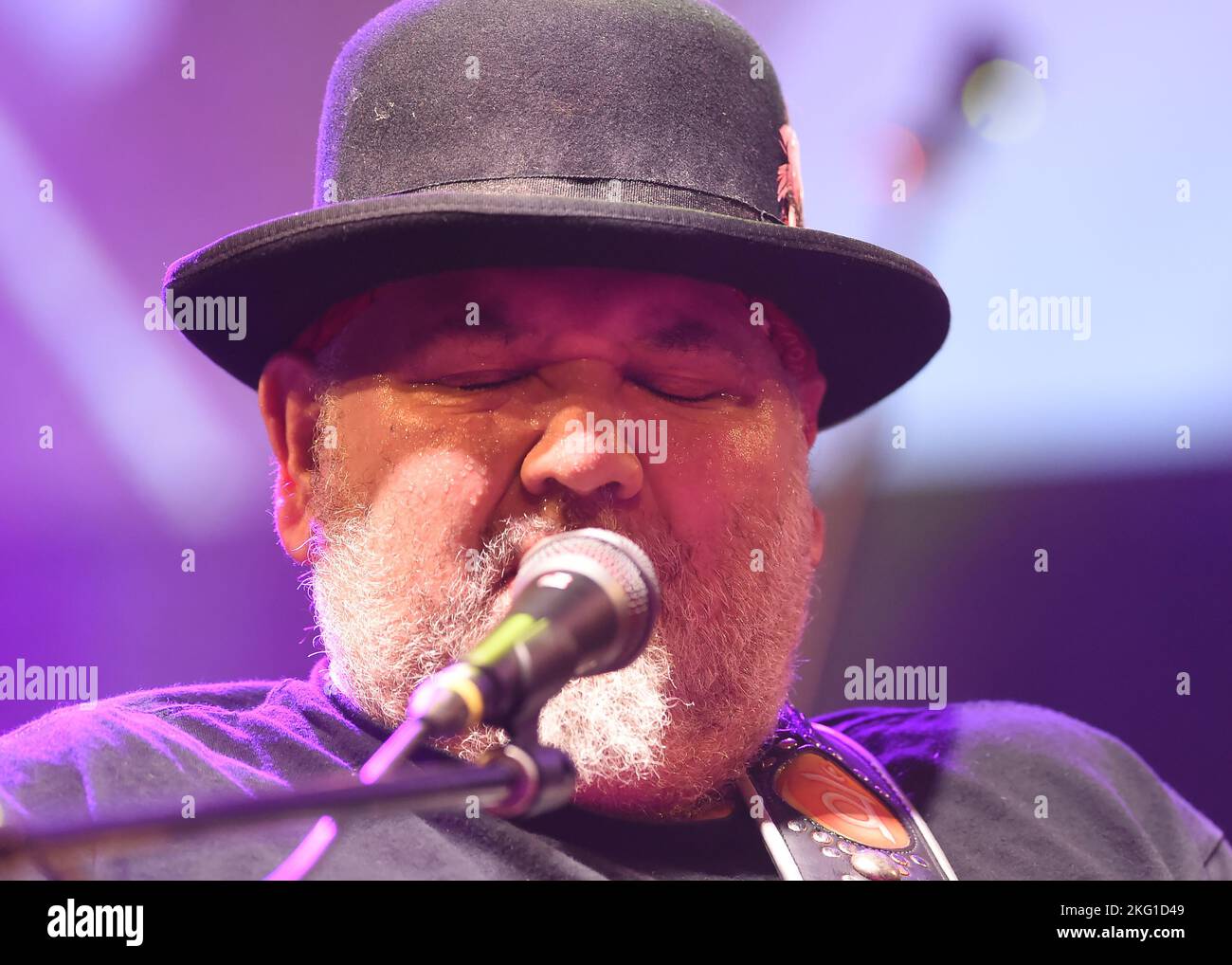 Blues guitarist popa chubby hi-res stock photography and images - Alamy