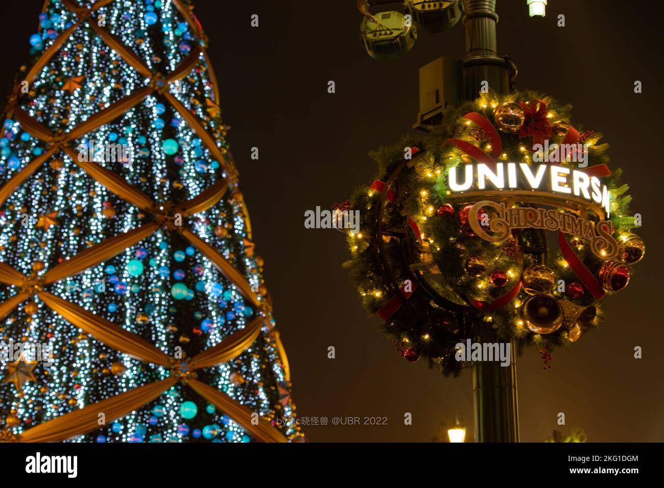 The giant Christmas Tree of the "Winter Holiday" themed activity on ...